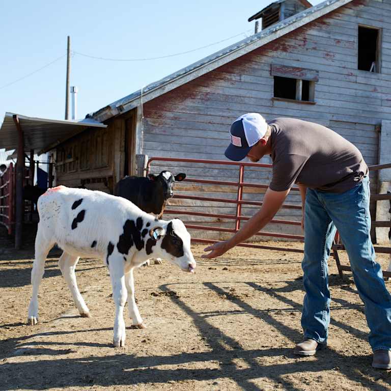 Qu'est-ce que le cutting | Comprendre la discipline | Ariat