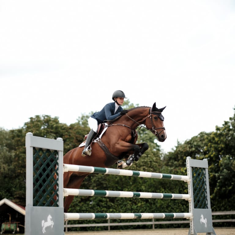 Show Jumping Outfits — Attire for Jumper Competition | Ariat