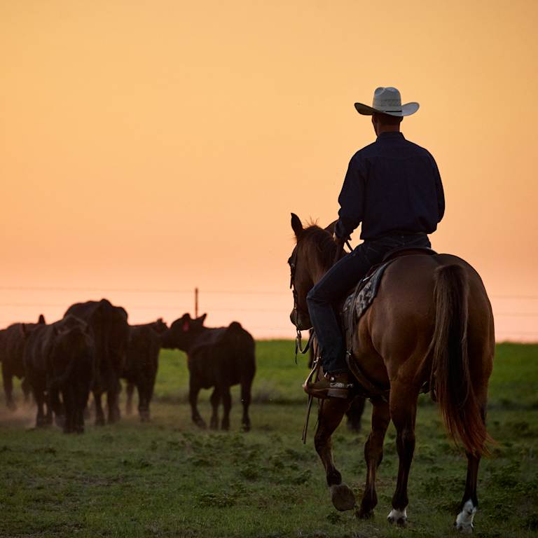 History of the Cowboy | Cowboy Culture | Ariat
