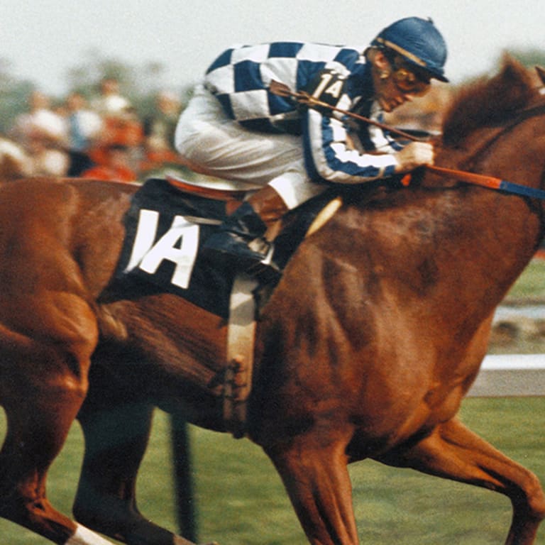 Secretariat Name History | Ariat