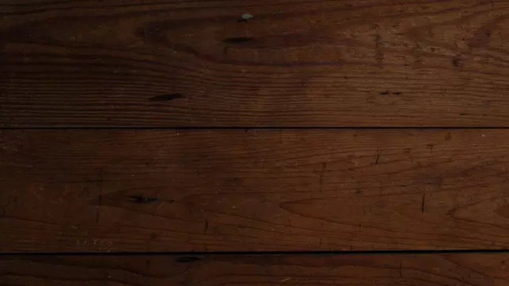 Western Athletes | Ariat