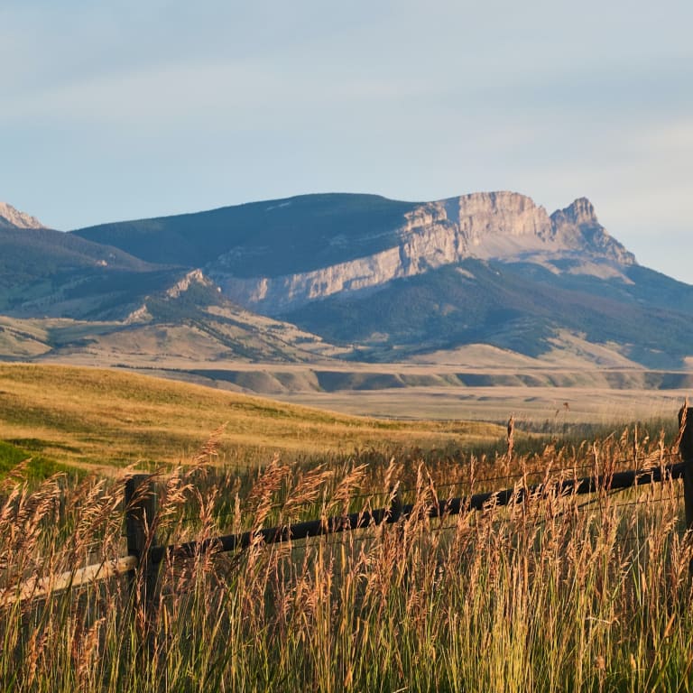 Bozeman Visitors Guide - Things to Do in Bozeman | Ariat