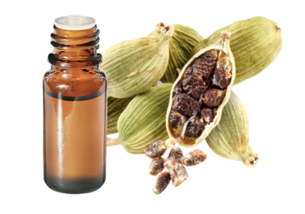 Olio essenziale di Cardamomo : proprietà e usi - Aroma-Zone