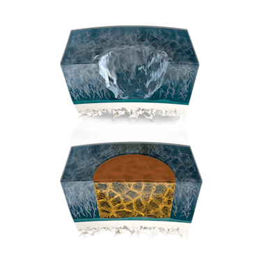 Arthrex - Orthobiologics