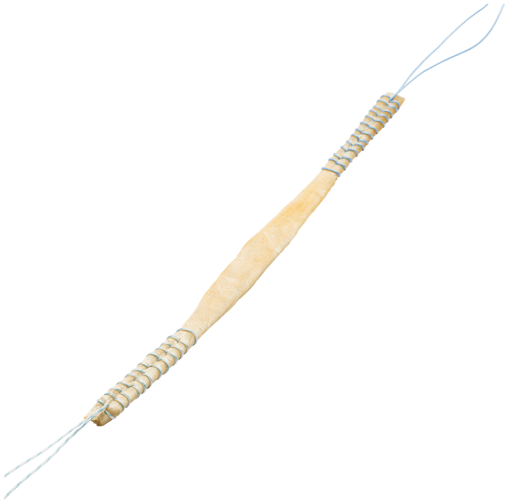 Arthrex - Patellar Tendon, whole with extensor mechanism - FWPLQEXT