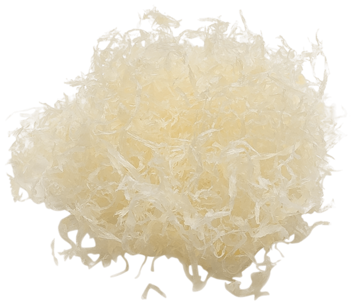 Arthrex - AlloSync DBM Cortical Fibers, 10 cc - ABS-2008-04