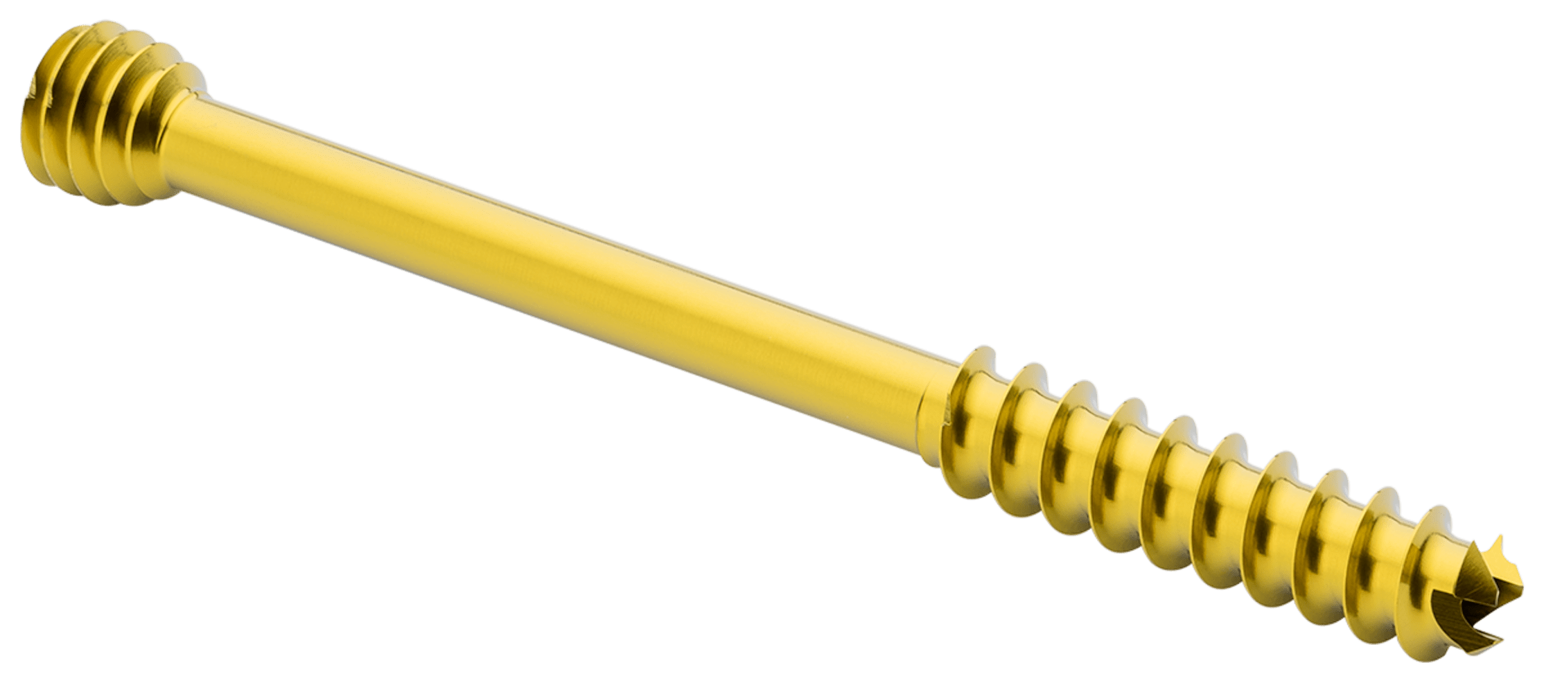 Arthrex - Headless Compression Screw, Cannulated, 6.5 x 75 mm, Long ...