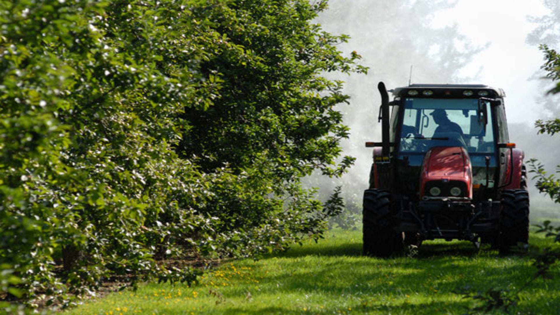 Tallink Shopping onboard