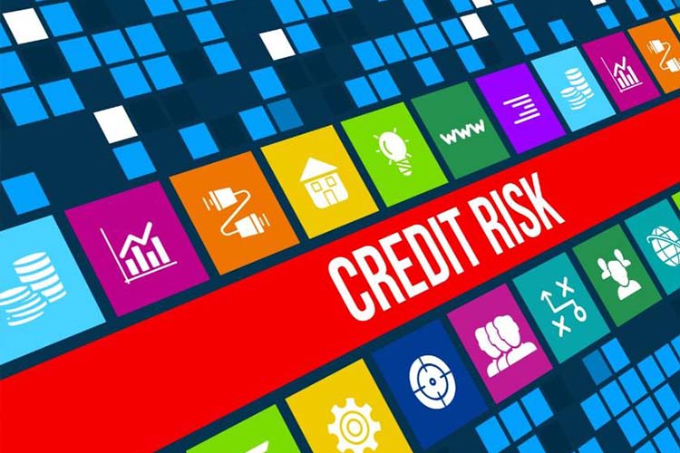 Credit Risk Measurement & Stress Testing