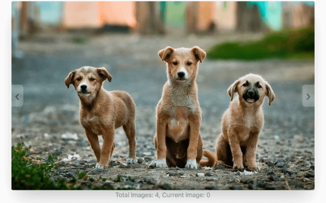 Alpine Toolbox - Alpine.js Templates