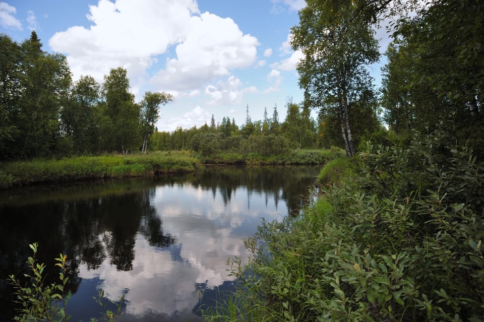 Delivering Remote Images - Astro Cloudinary