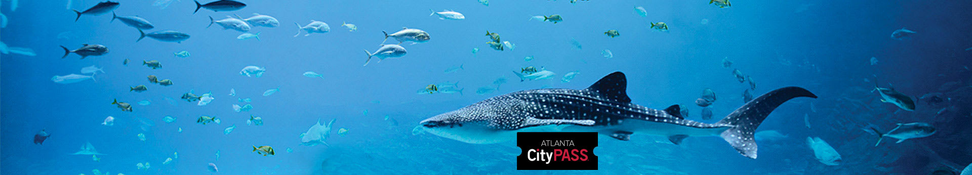 Atlanta CityPASS - Save 44% on Tickets to Top Atlanta Attractions ...