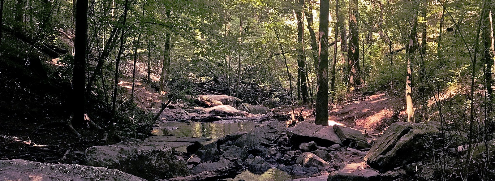 Cascade Springs Nature Preserve | Things to Do, Visitor Tips & Info ...