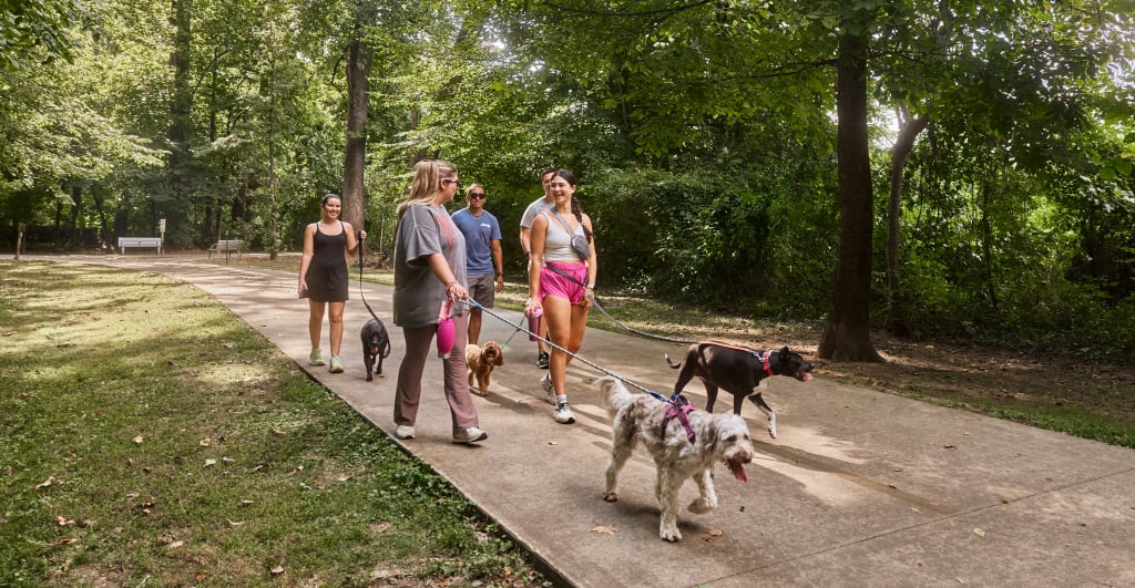 Atlanta Beltline Northside Trail Guide - Map, Restaurants & Things to Do