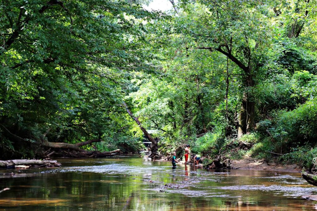 Ultimate Guide to Outdoor Things to Do in Atlanta | Discover Atlanta