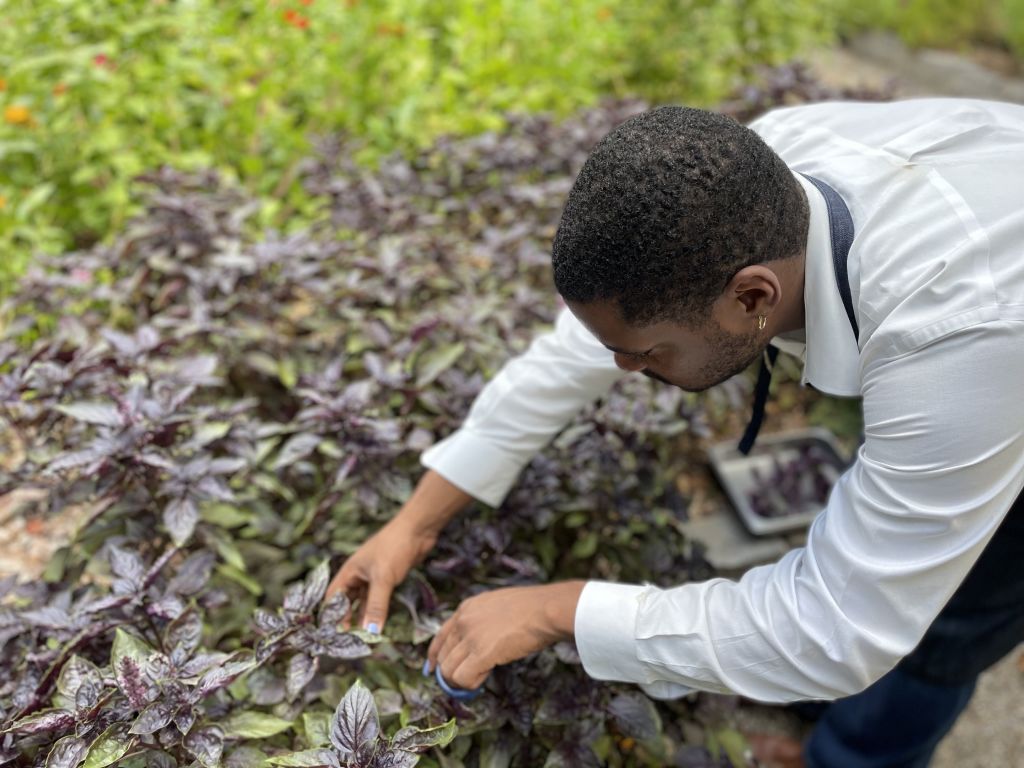 Atlanta's Culinary Evolution: Unveiling Michelin Guide's Love for the ...