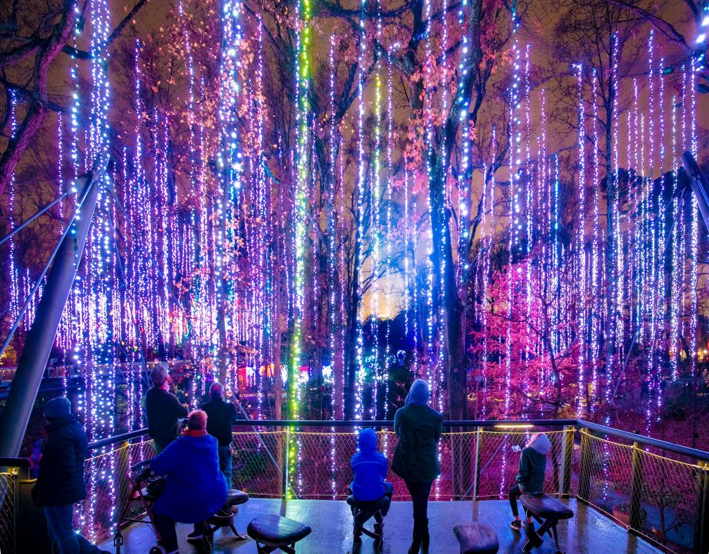 Cool Things To Do in January in Atlanta | Discover Atlanta
