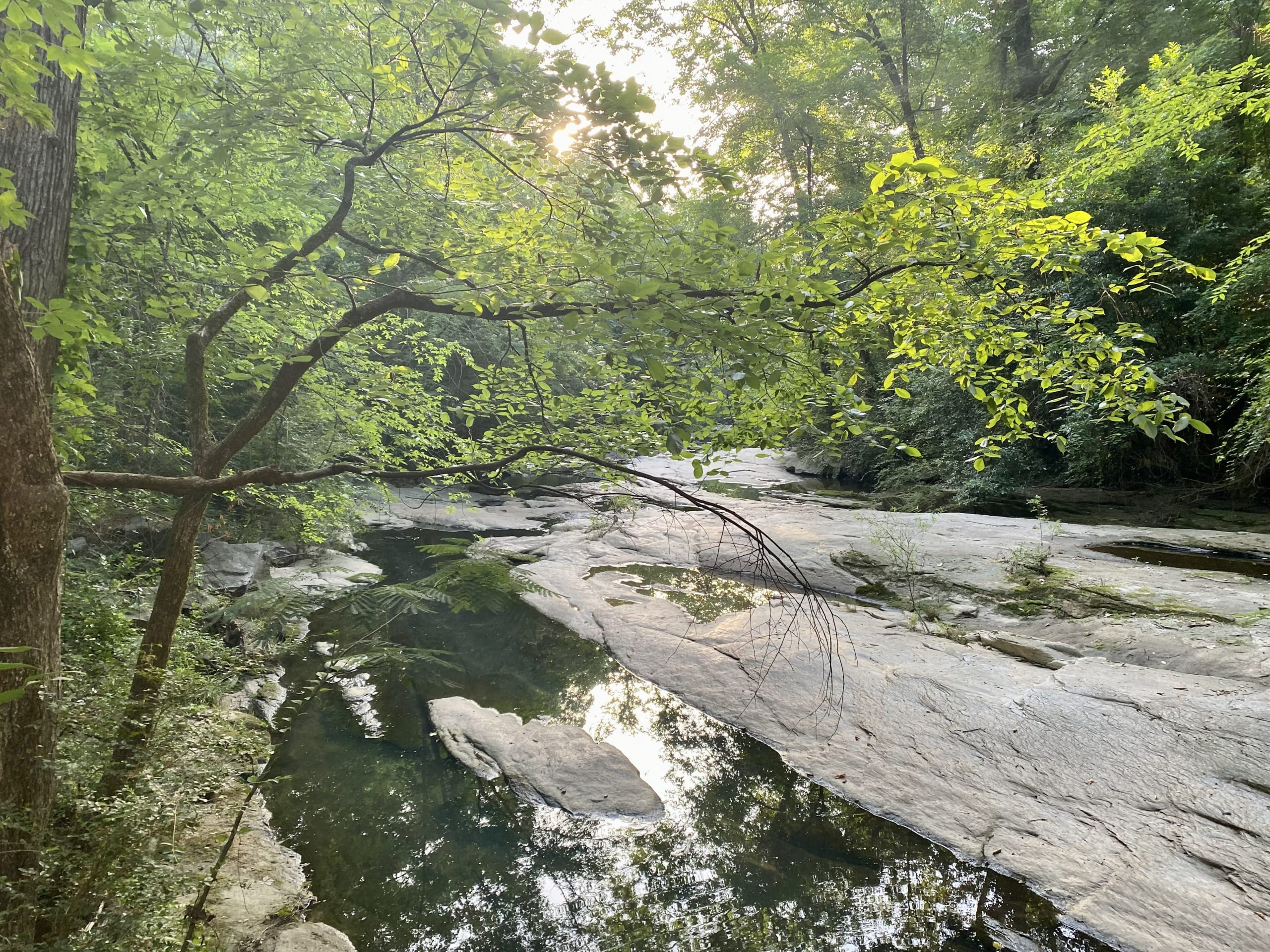 Atlanta BeltLine Northside Trail Guide - Map, Restaurants & Things to Do