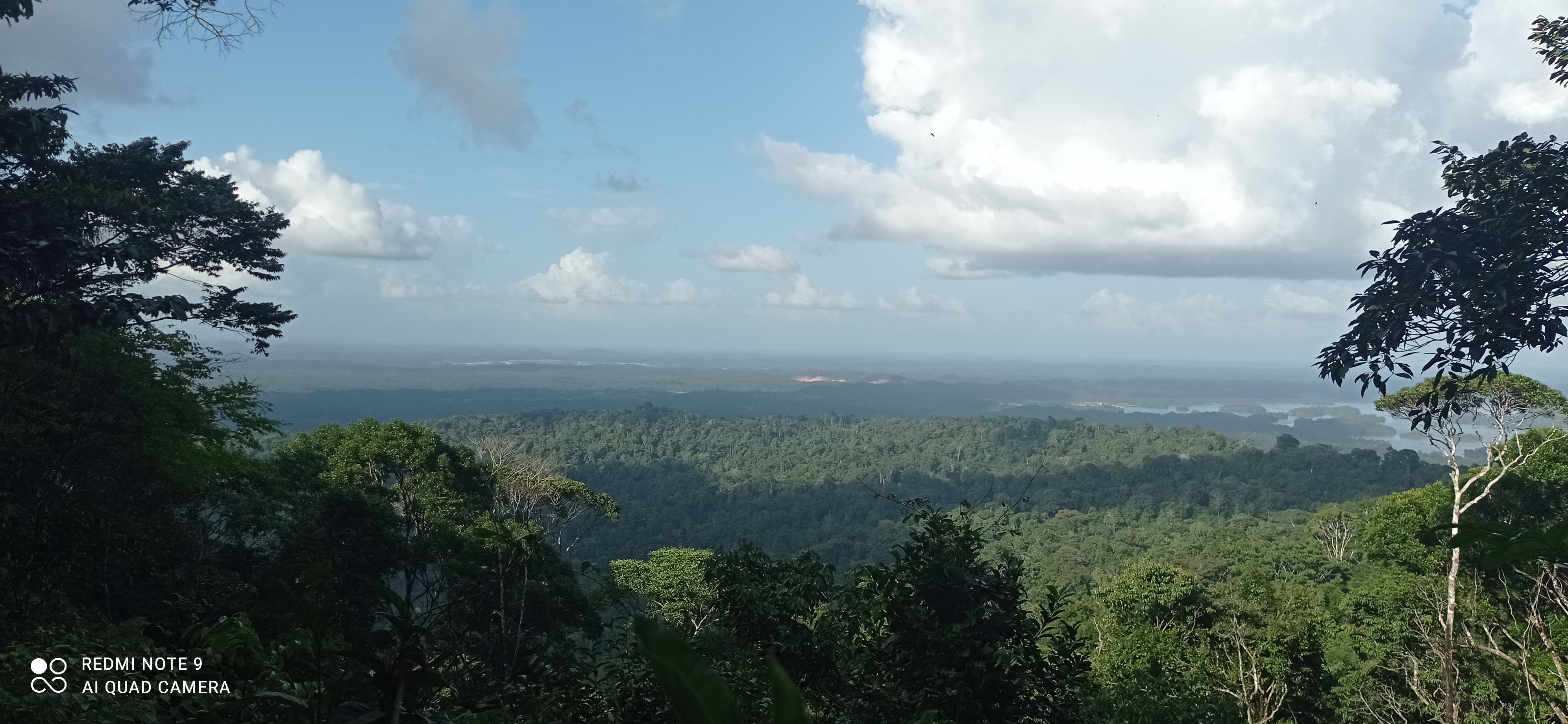 Suriname vacation, a complex fusion of cultures in South America ...