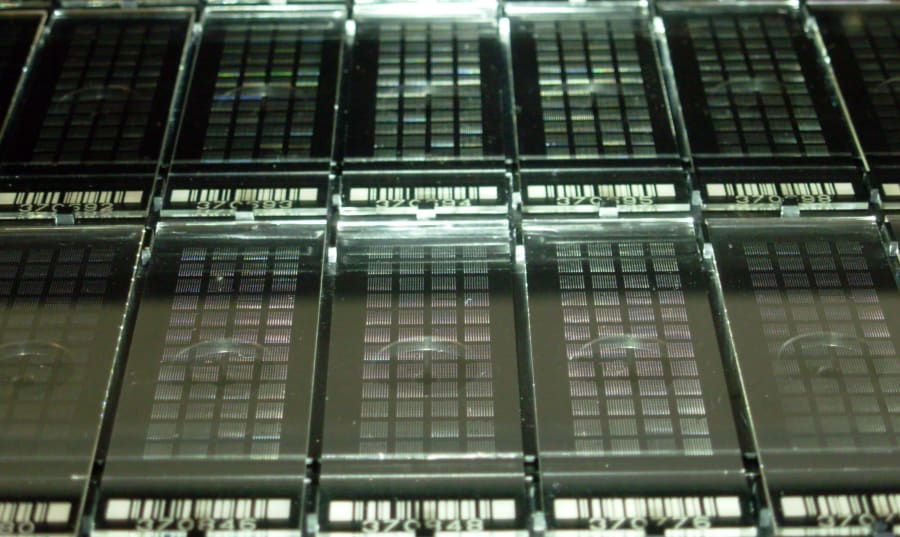 DNA Microarray Test