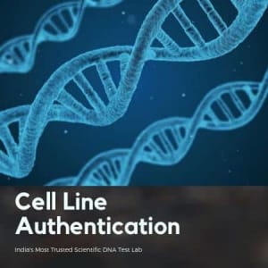 What is Cell Line Authentication DNA Test