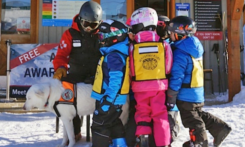 Go Farther — Get Avalanche Trained