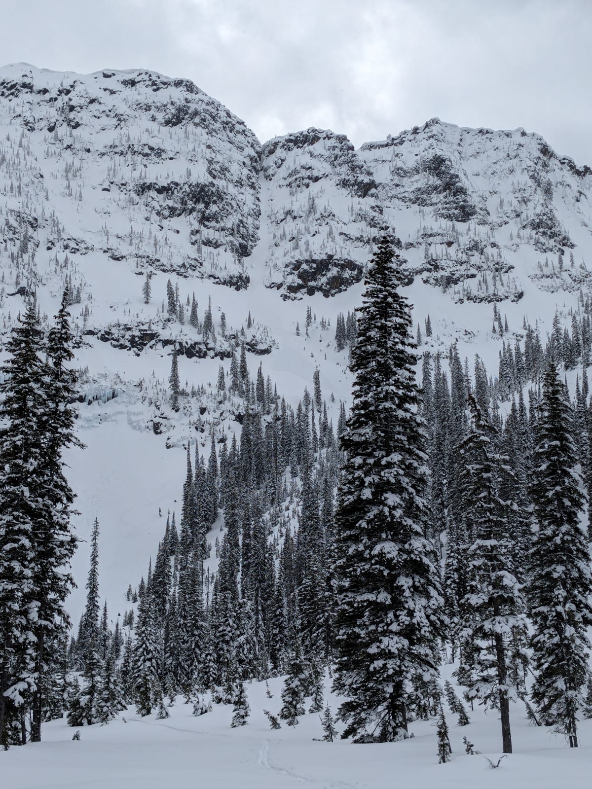 Satan's choice sluff