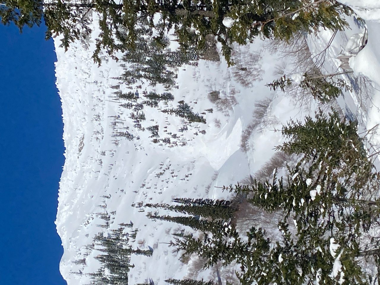 Behind TimberHead Wall