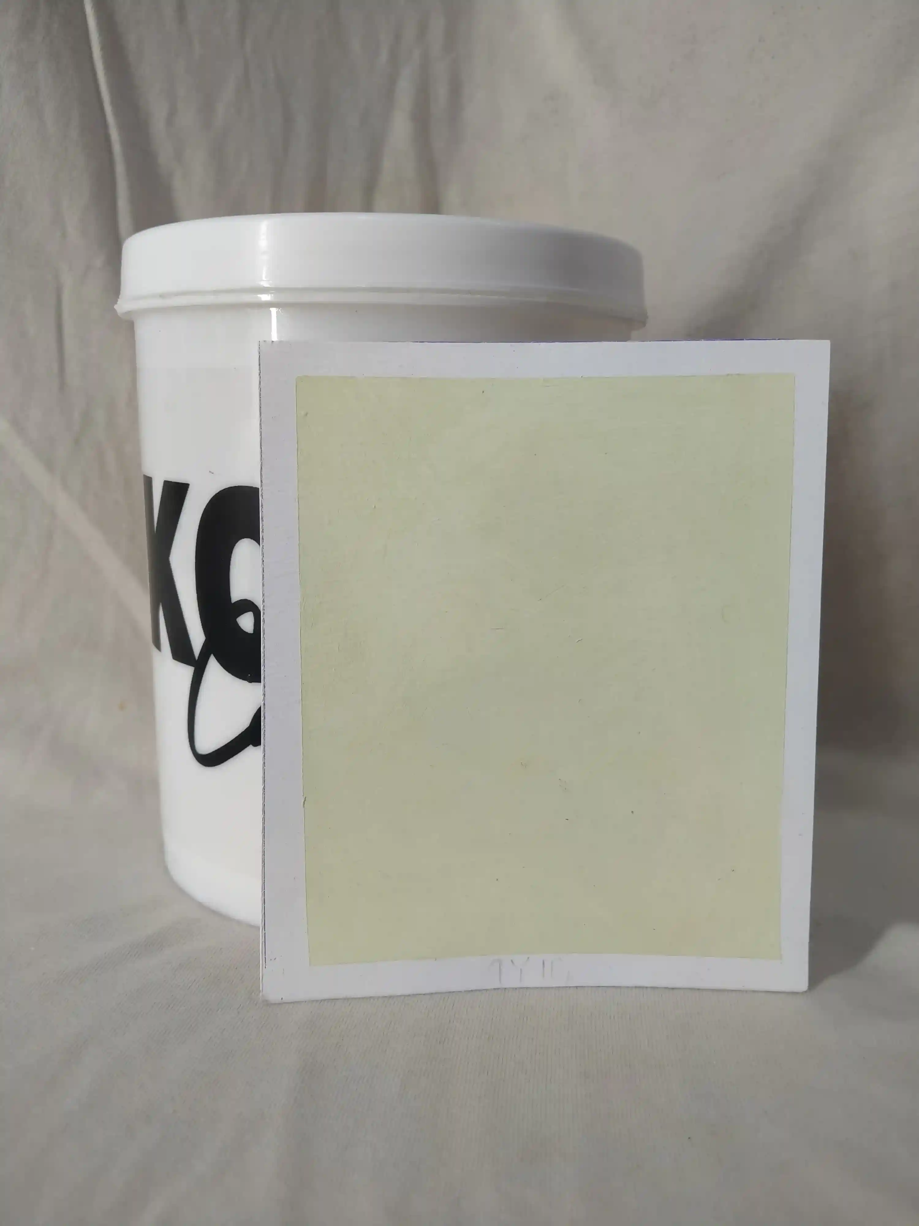 Swamp Lime Wash Texture Paint in India Kolor Canvas