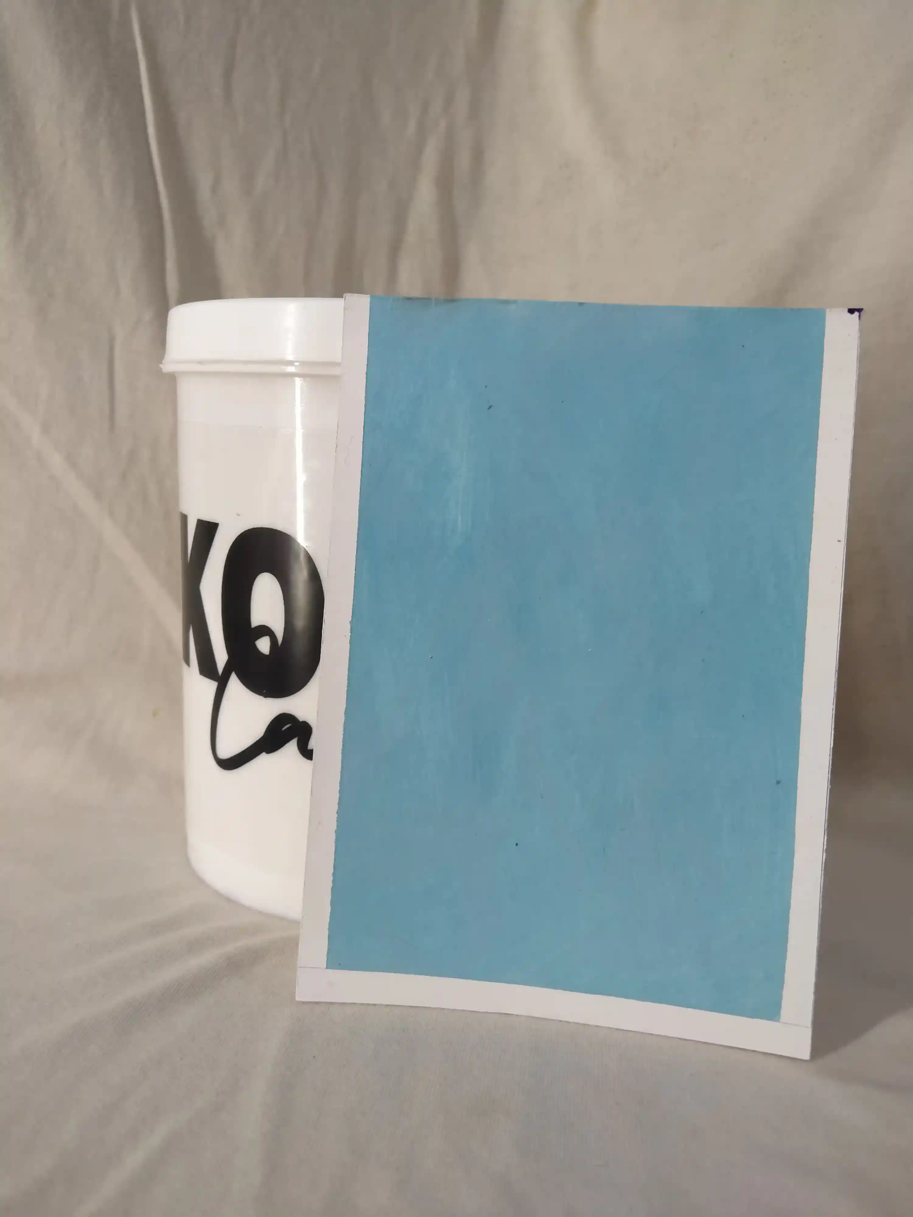 Nile Lime Wash Texture Paint in India Kolor Canvas