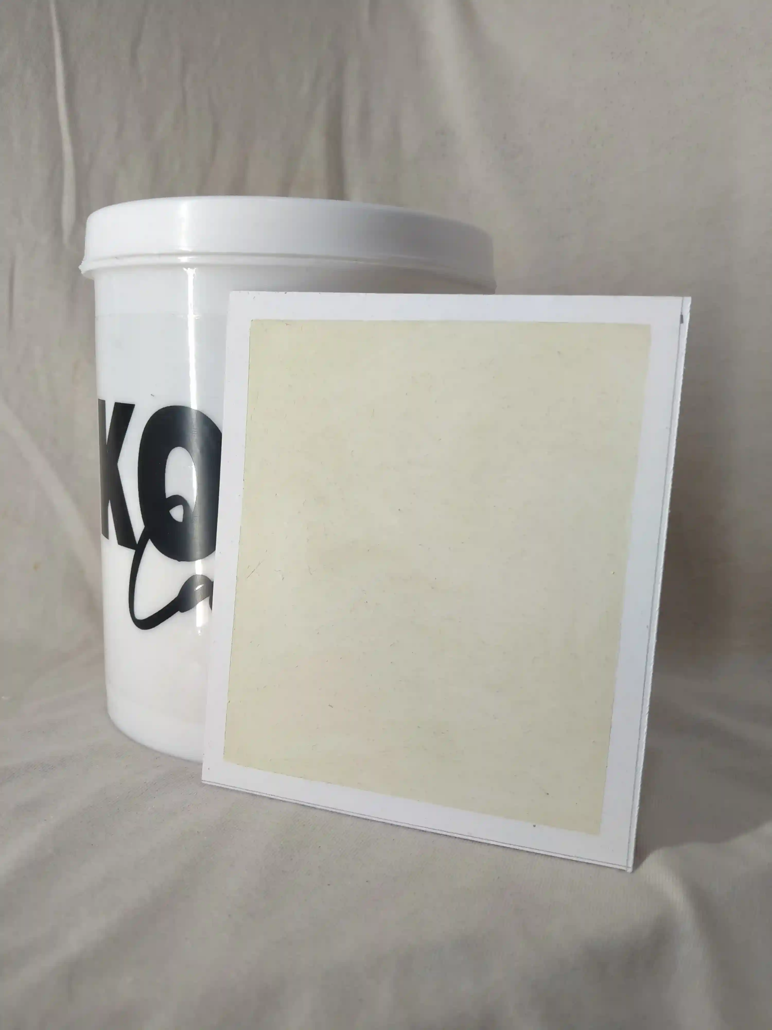 Warm Willow Lime Wash Texture Paint in India Kolor Canvas