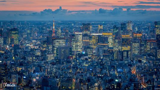 Pro1 | Ayafu的空想乡