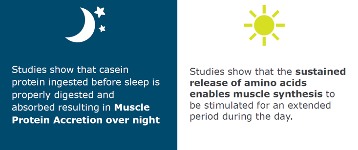 Now representing FrieslandCampina caseinate and whey proteins | Market ...