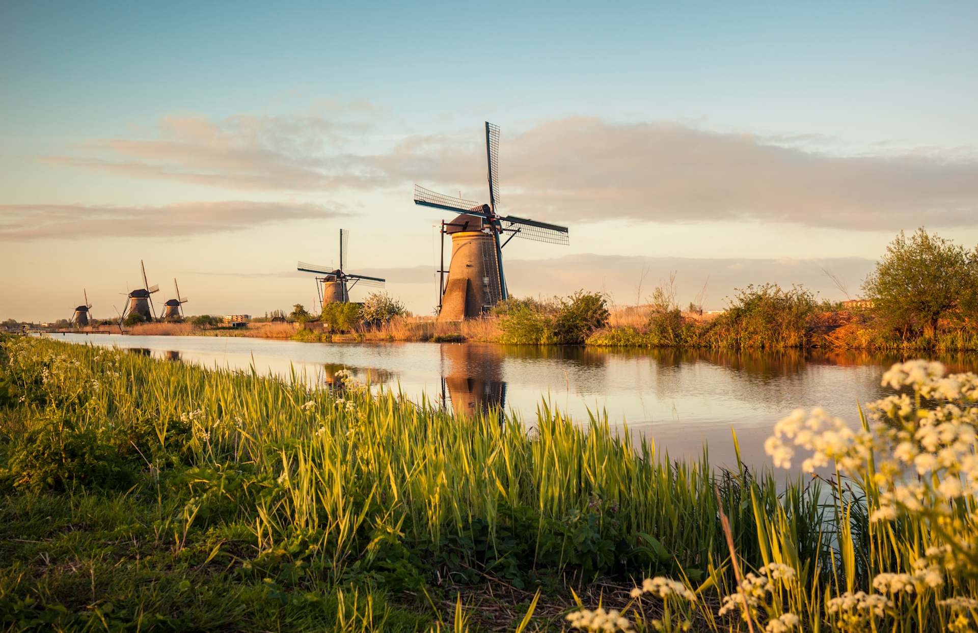 The Netherlands