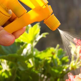 SAG™ 1572 | Agricultural & Environmental Solutions | Azelis