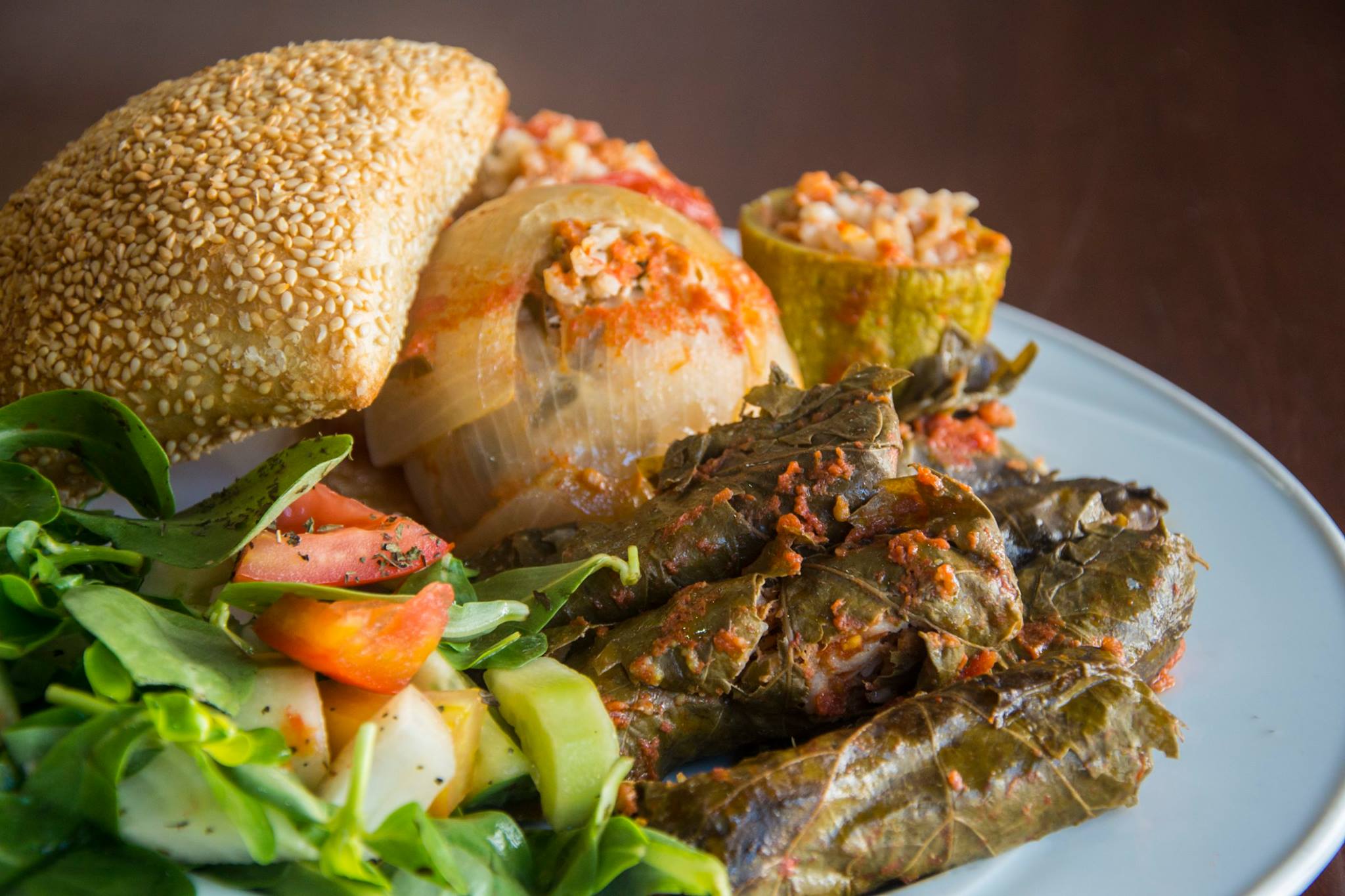 TΟ.Ψ.ΤΟ, Nicosia, Nicosia, Cyprus - Wolf