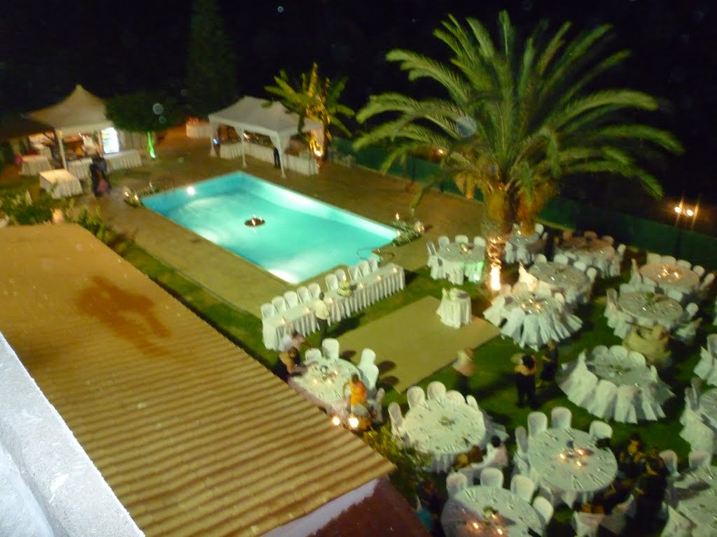 Cosmopolis, Trachoni, Limassol, Cyprus - Wolf