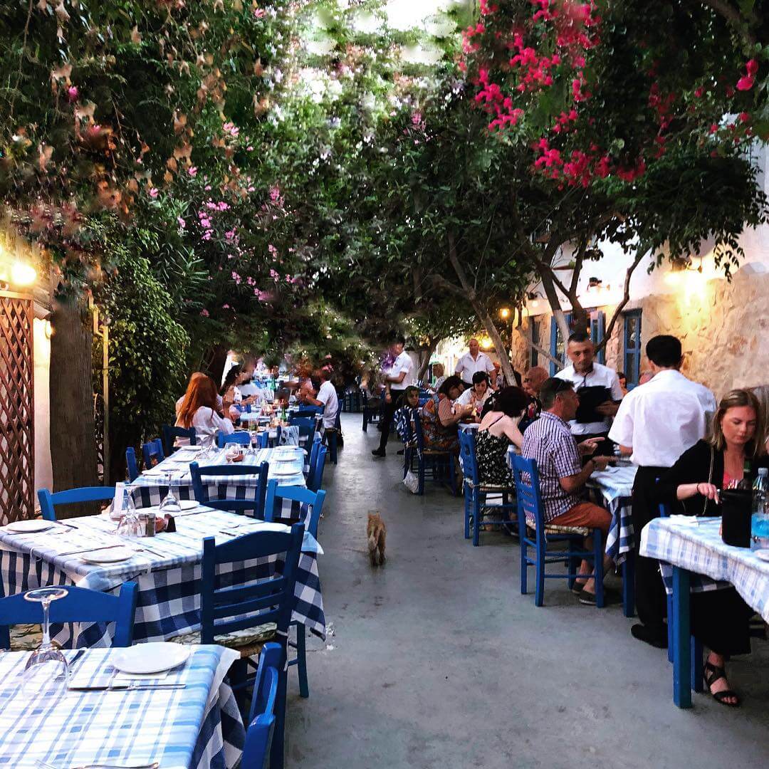 Tony's taverna, Agia Napa, Ammochostos, Cyprus - Wolf