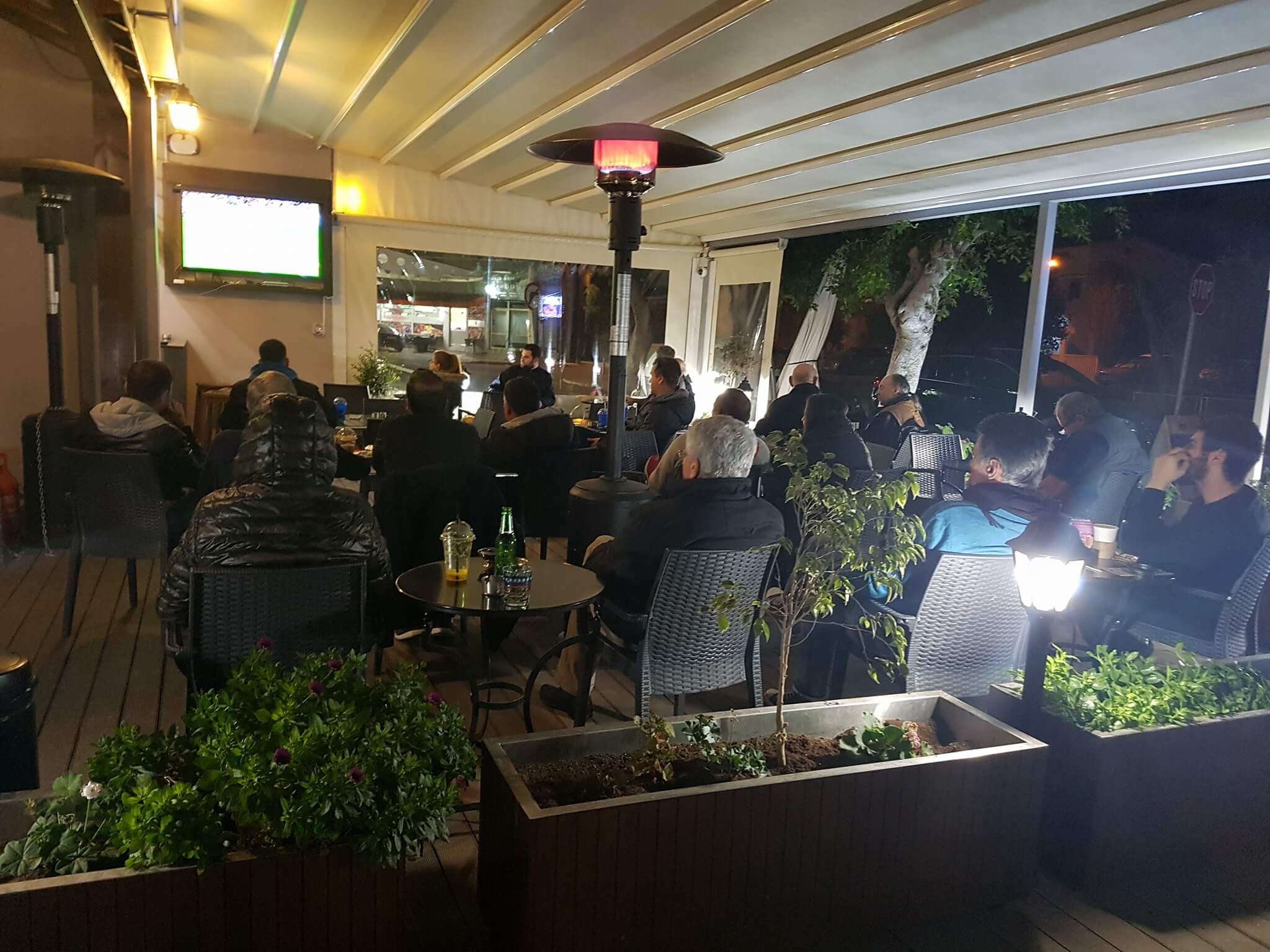 22Recanto cafe, Egkomi, Nicosia, Cyprus - Wolf