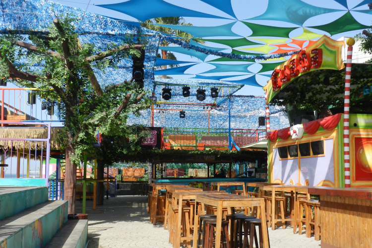 Guaba Beach Bar, Lemesos, Limassol, Cyprus - Wolf