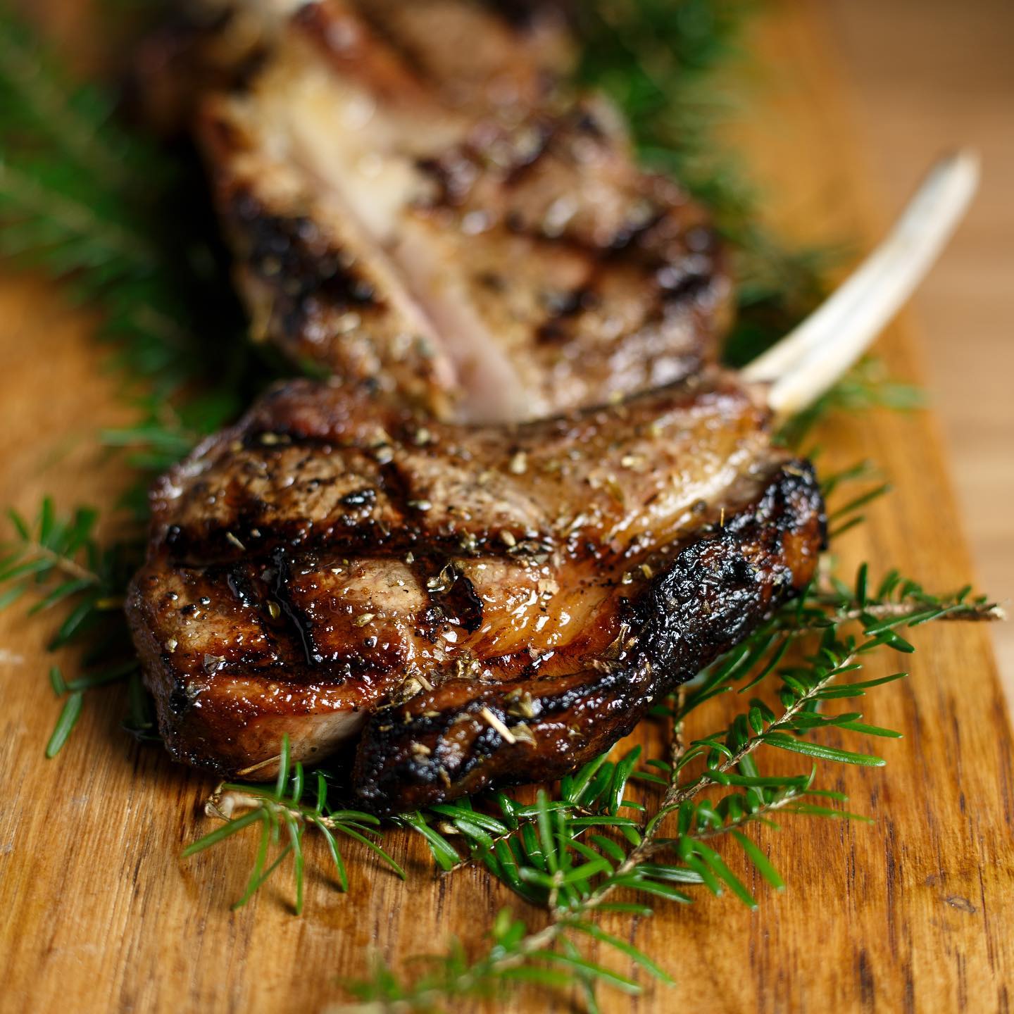 Suzi Tros - Menu - Wolf