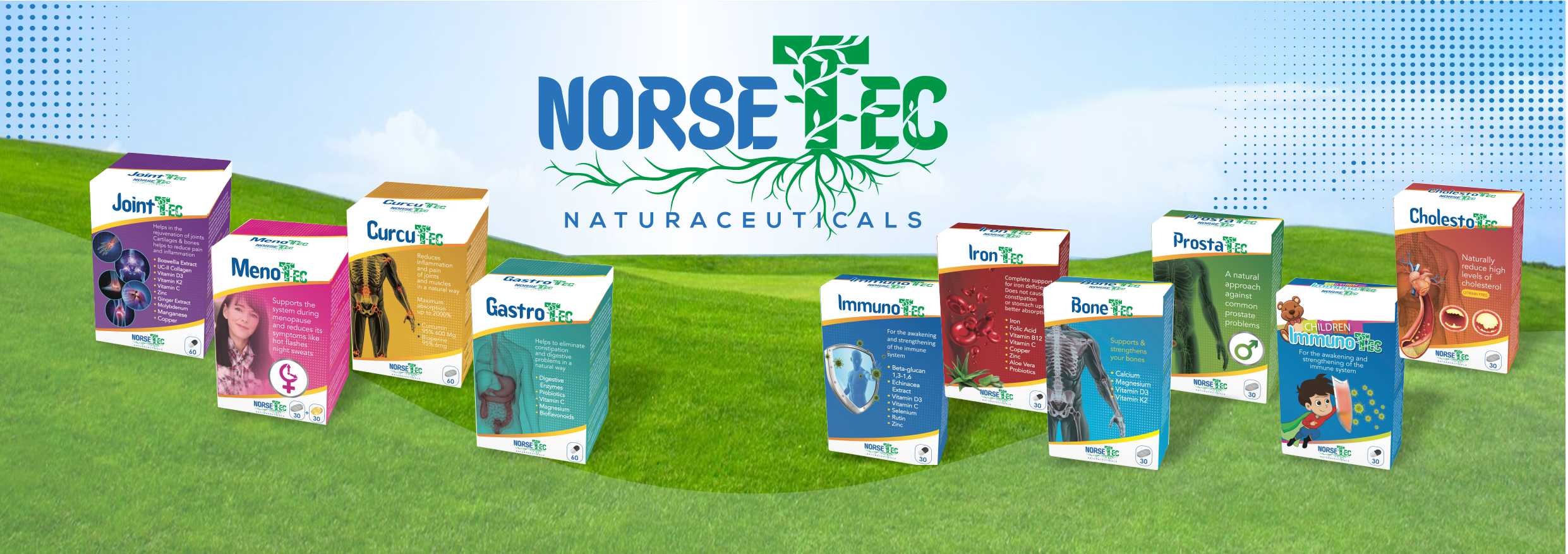 Norsetec, Lemesos, Limassol, Cyprus - Wolf