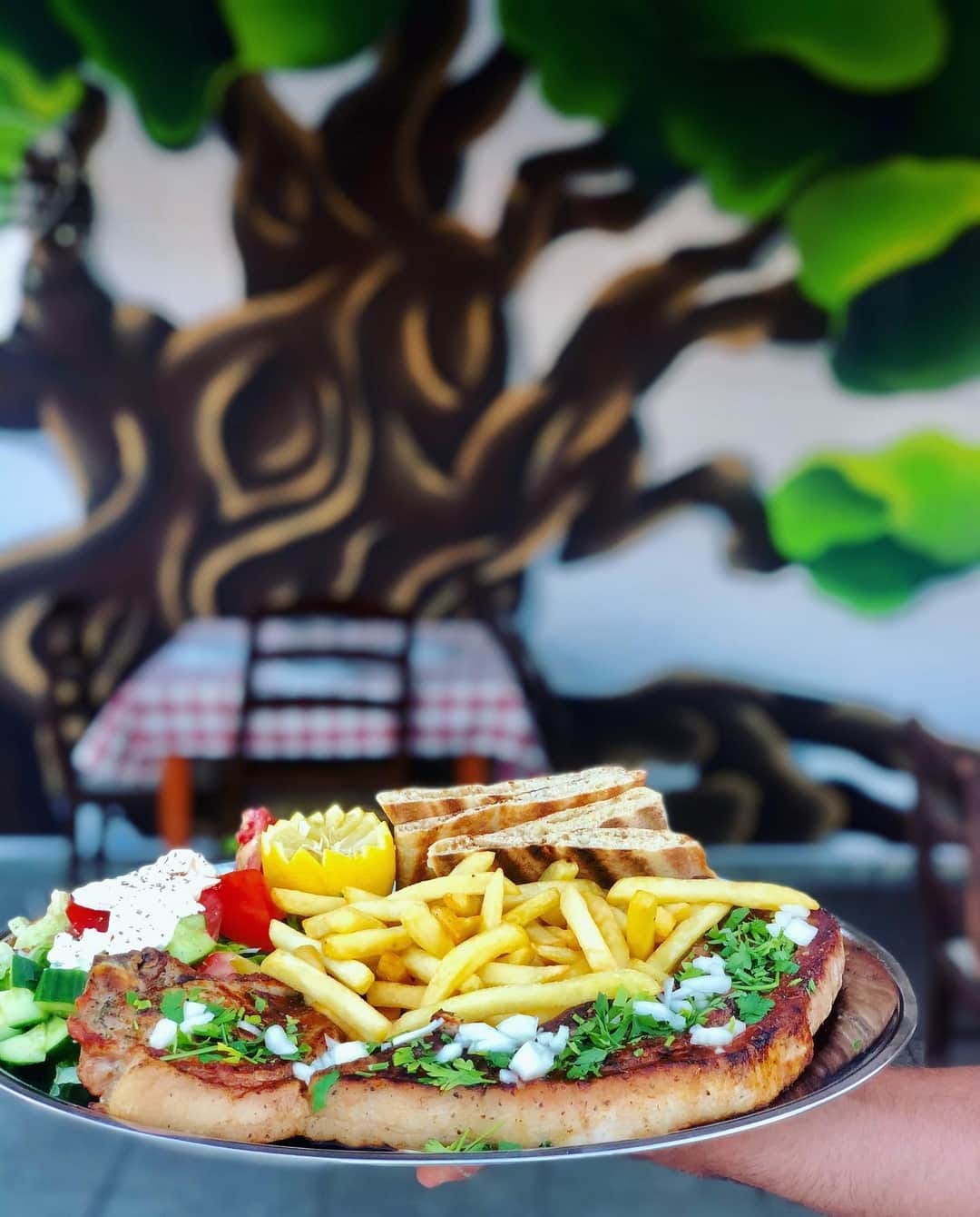 Μεζεδοπωλείο Το Σύκο, Zakaki, Limassol, Cyprus - Wolf