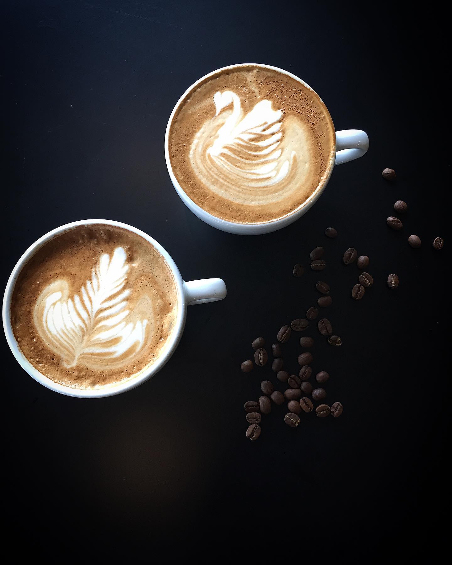 The Workshop, Strovolos, Nicosia, Cyprus - Wolf