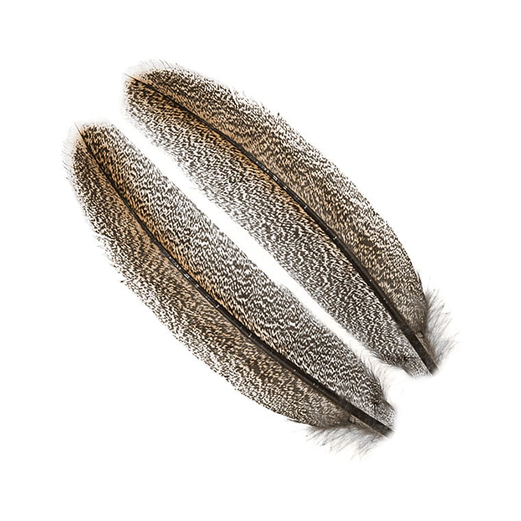Veniard Turkey Quills & Tails (Turkey Oak mottled wing quill) Chr ...
