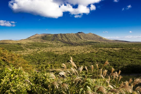 Tokyo Volcanic Island Tour - 3 Days in Japan