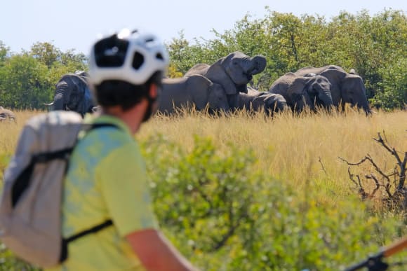 African Cycle Safari - South Africa custom trip | Baboo Travel