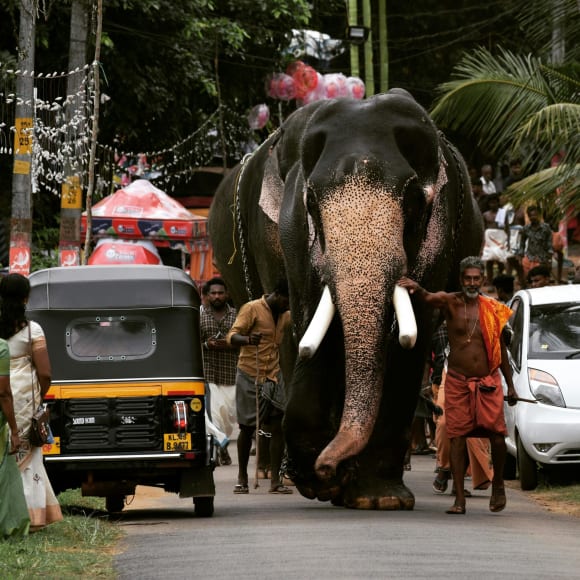 Kerala Highlights - 8 Days in India