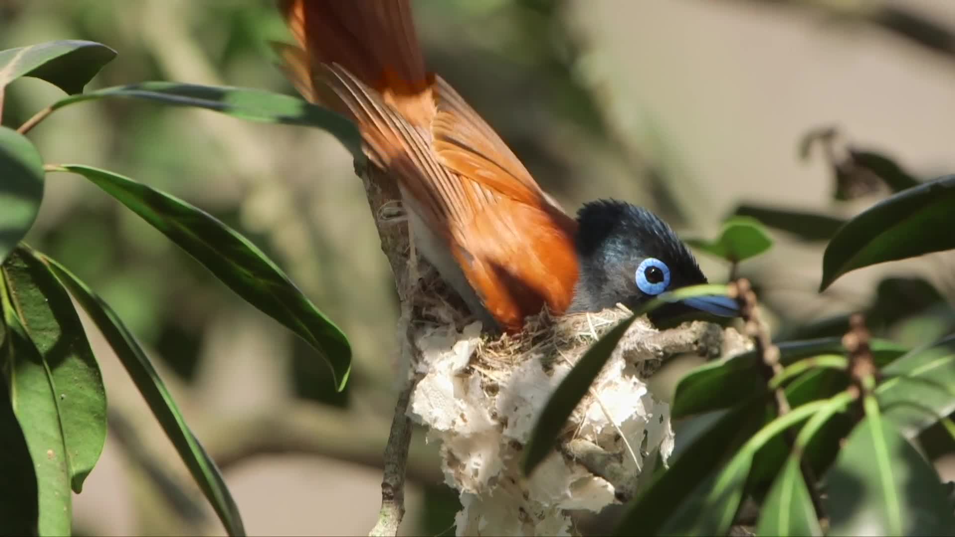Babylonstoren Flowers & Garden | Babylonstoren