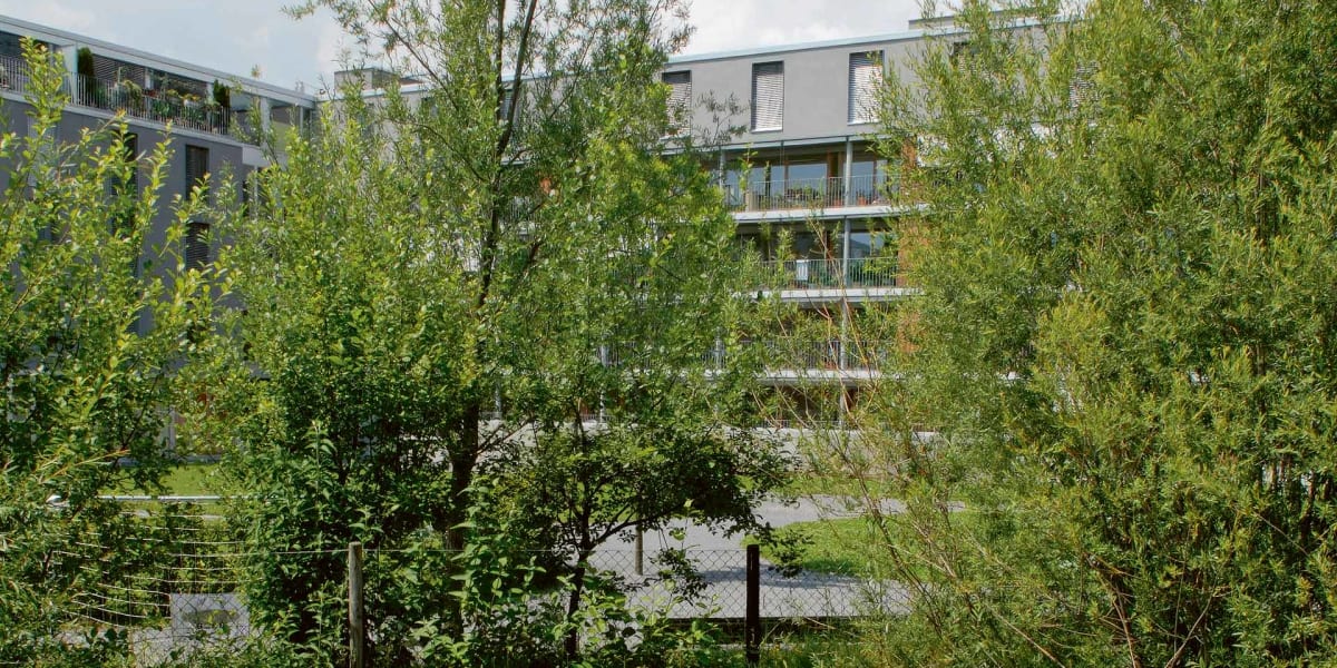 Grüne Städte